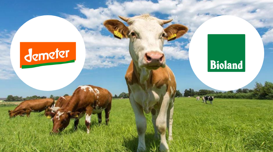 Demeter vs. Bioland Farming: What’s the Difference? | OBF24™